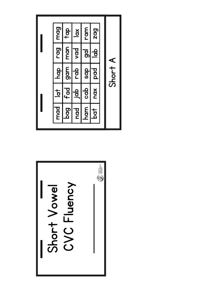 Short Vowel CVC Fluency Flip Book | PDF