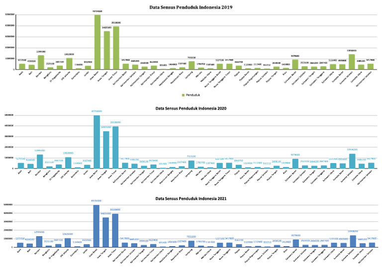 Data Sensus Pendudk Indonesia 2019-2024 | PDF