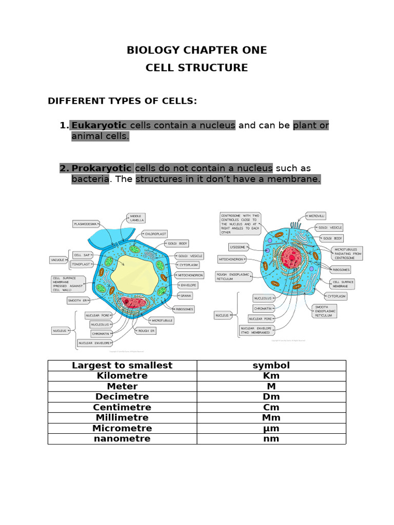 Cell Structure | PDF