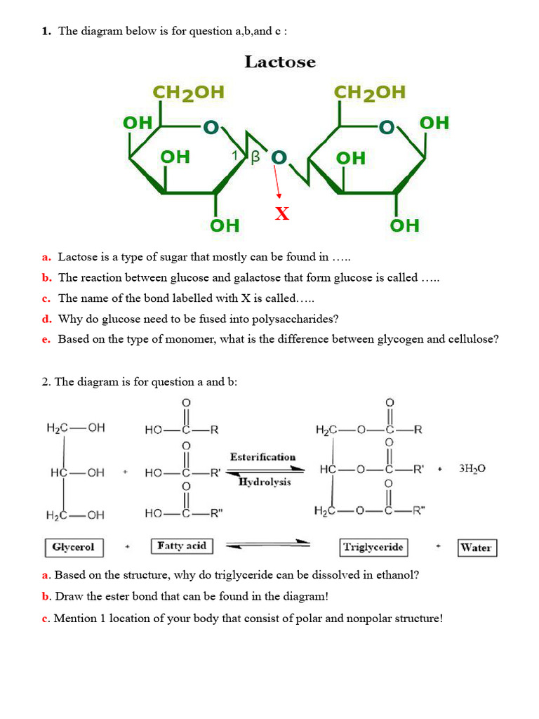 1724824489-ESSAY UNIT 2 GRADE 11 TH | PDF