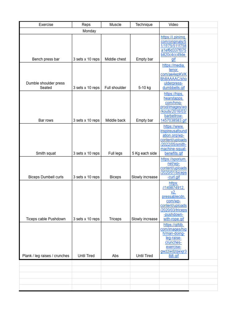 Mohammad Gym Program | PDF