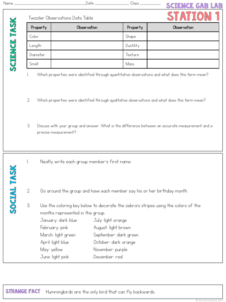 Student - Gab Lab (Beginning of Year) | PDF