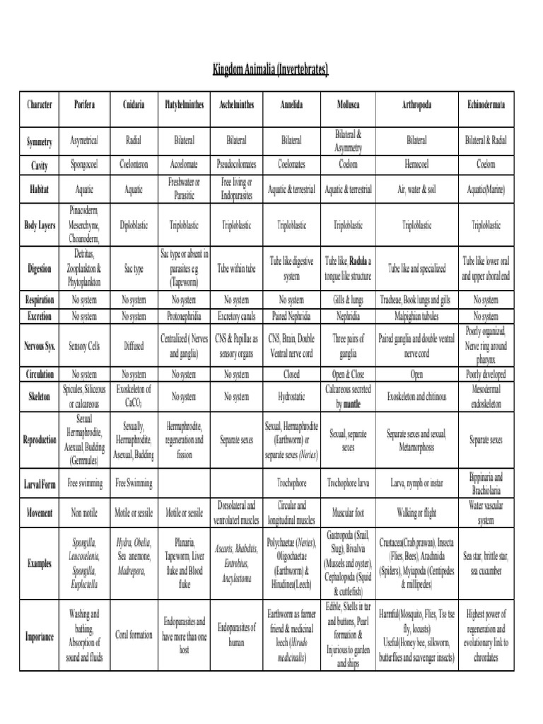 Kingdom Animalia Tables 2024 | PDF