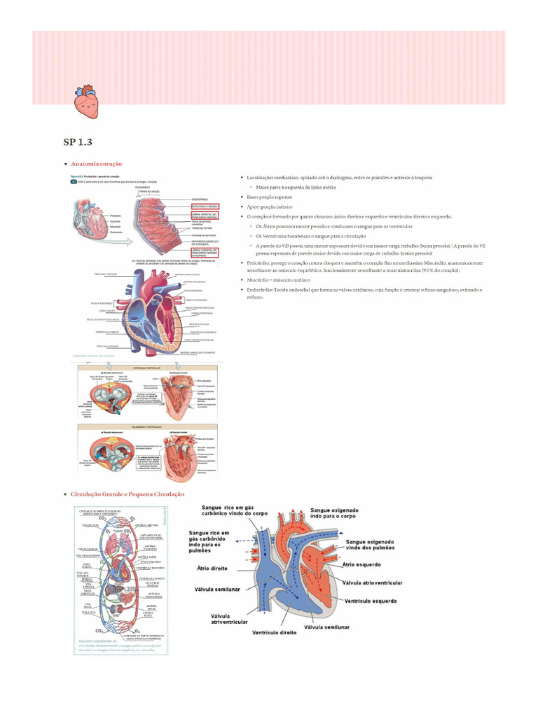 Resumo Sp 1.3 Etapa 2 - 2024 (Drive) | PDF