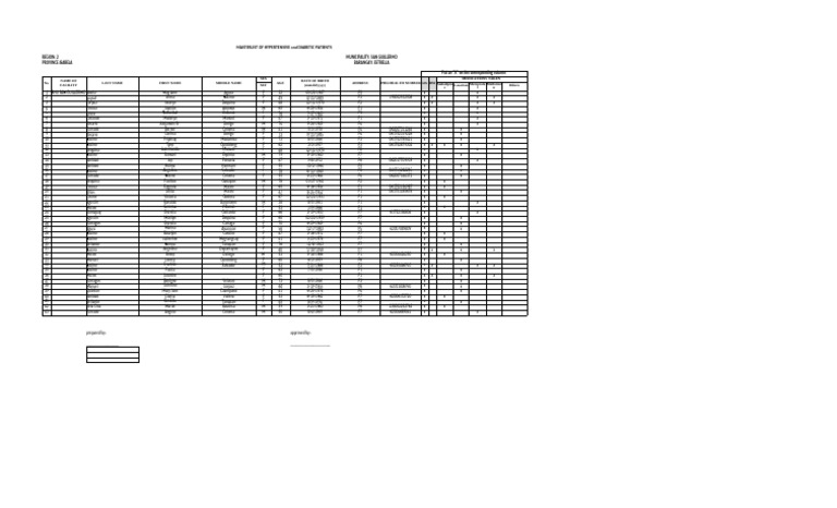 Masterlist HPN DM Brgy. Estrella | PDF