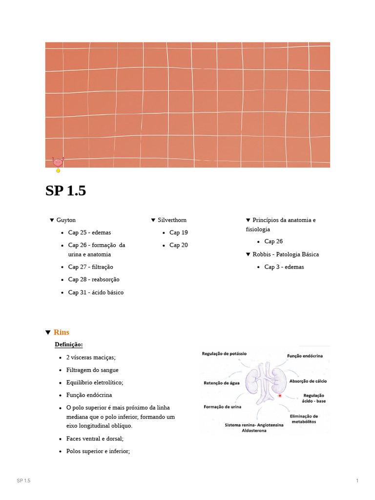 Resumo SP 1.5 Etapa 2 - 2024 | PDF