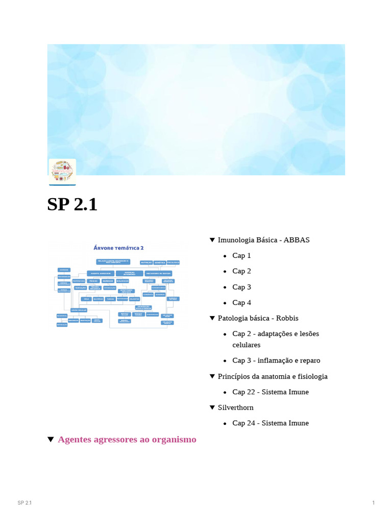 Resumo SP 2.1 Etapa 2 - 2024 | PDF