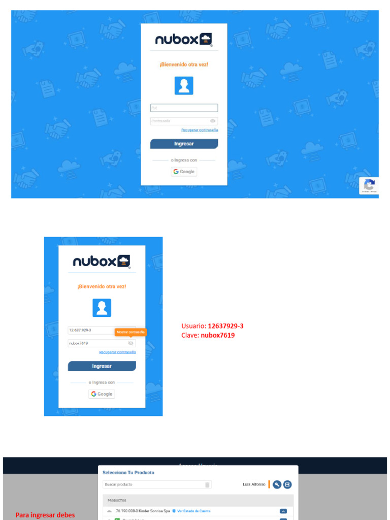Guía para Ingreso y Emisión en Nubox | PDF | Negocios | Derecho