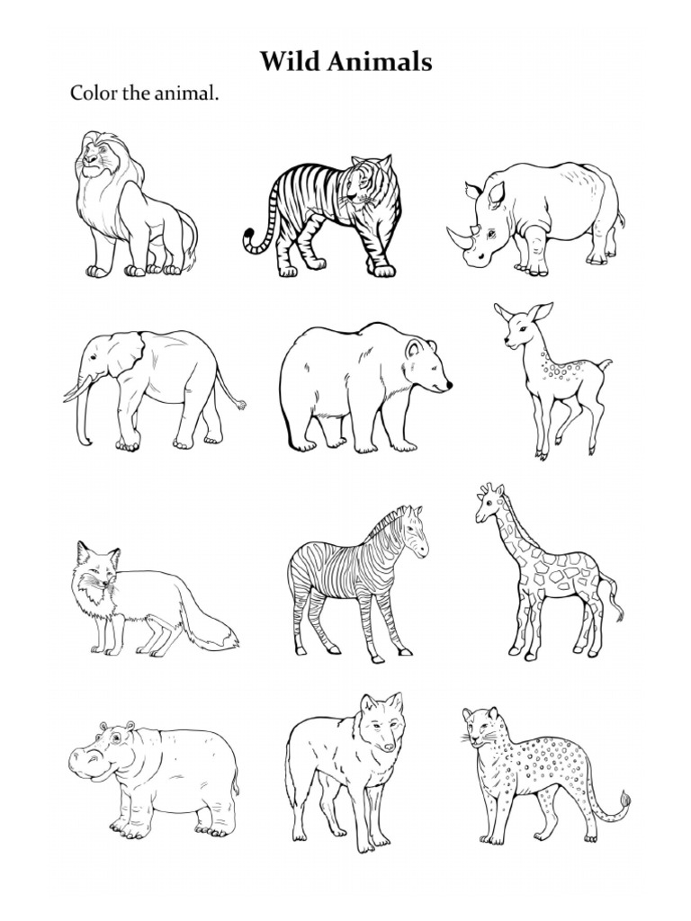 AnimalsFor Printing | PDF