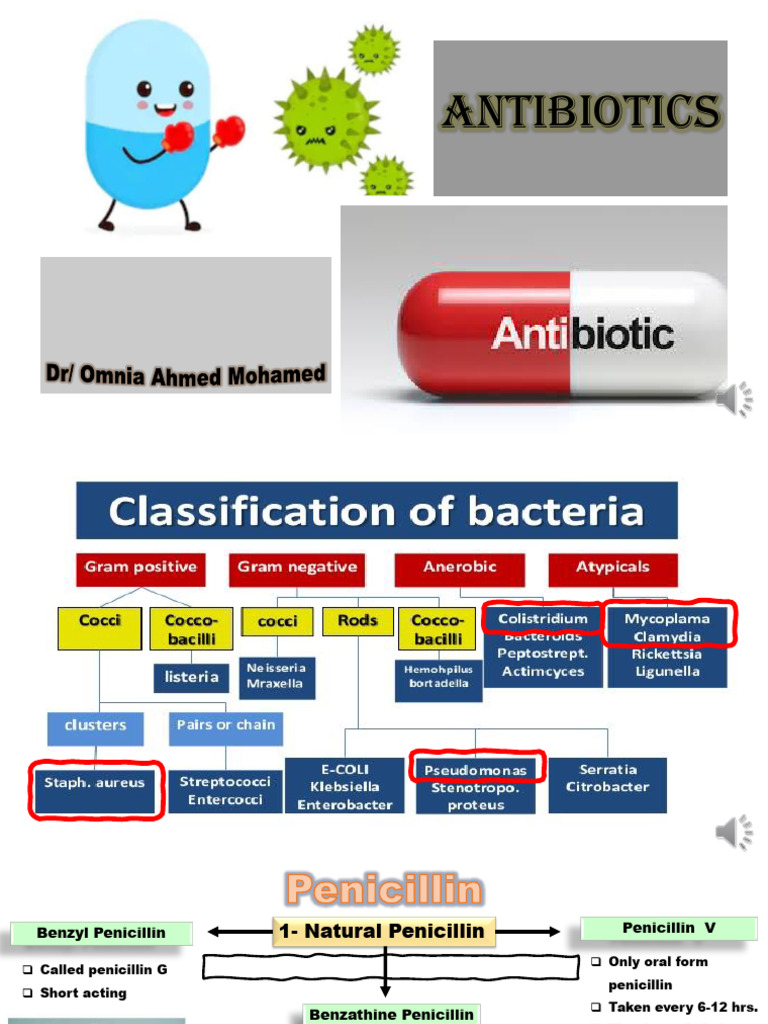 lecture 10 (antibiotics ) (1) | PDF