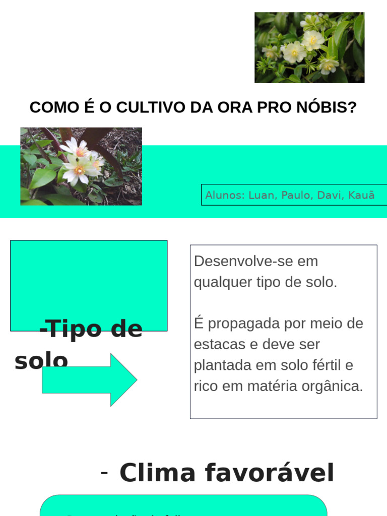 Ora Pro Nóbis | PDF
