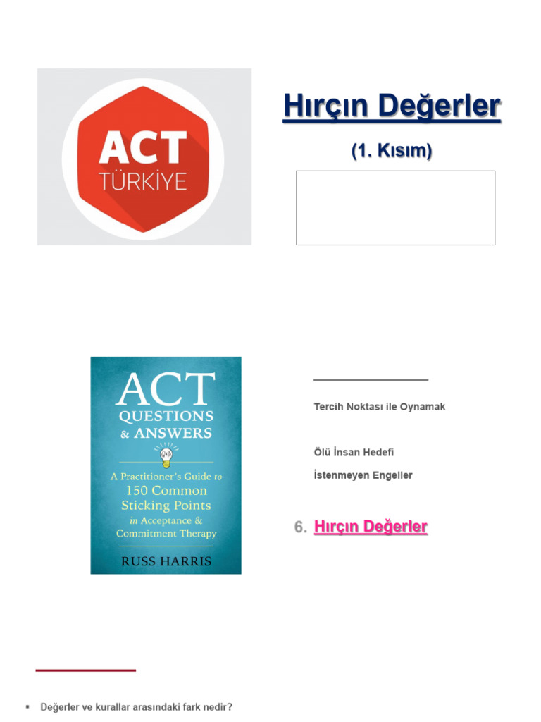 Actturkiye Hircin Degerler 1 | PDF