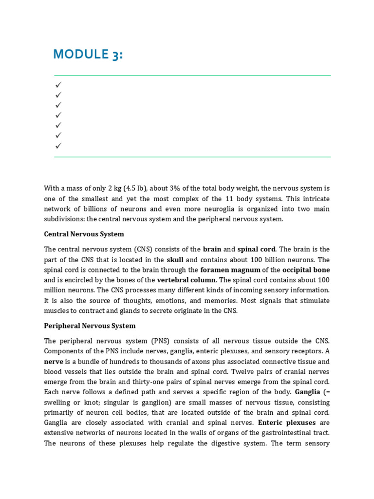 S1 Mod 3 Notes | PDF