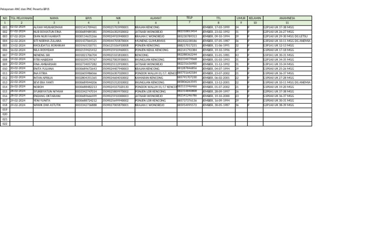 Rekap Pelayanan Anc Dan PNC Peserta BPJS (Sept. 2024) | PDF