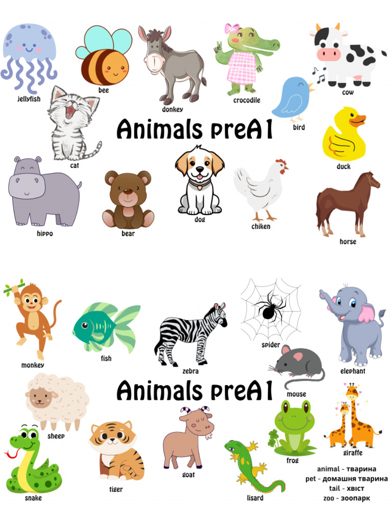 Animals Prea1 | PDF