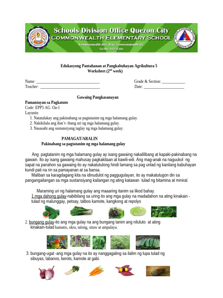 EPP5 Activitysheet Week2 | PDF