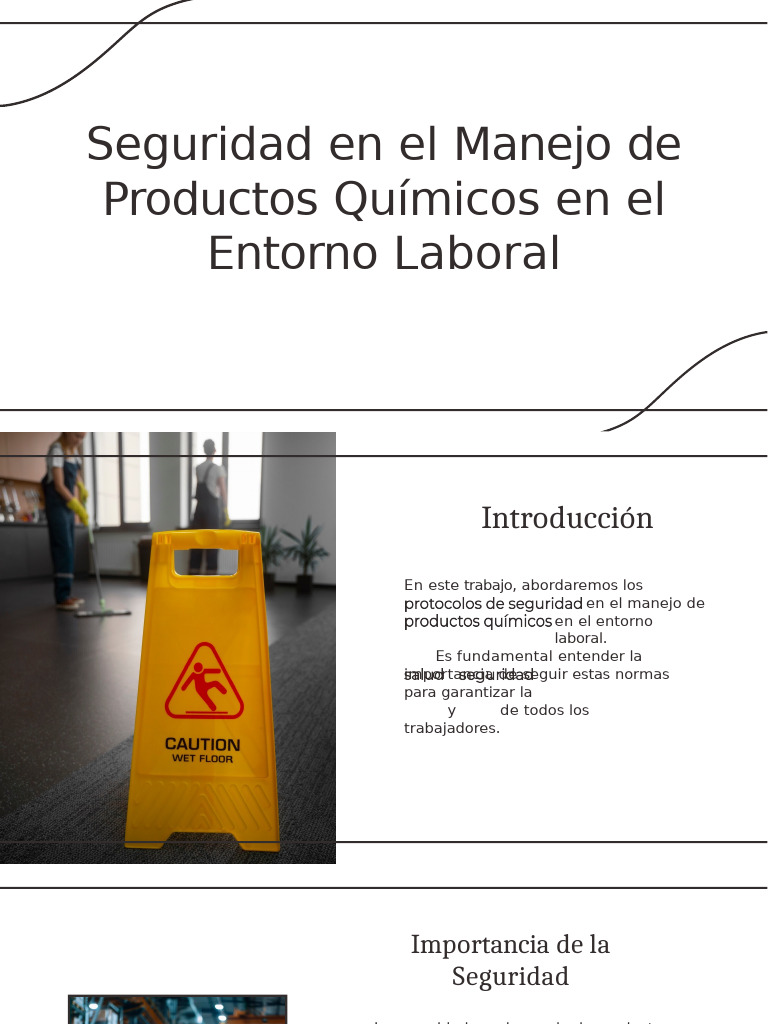 Seguridadenel Manejode Productos Quimicos | PDF