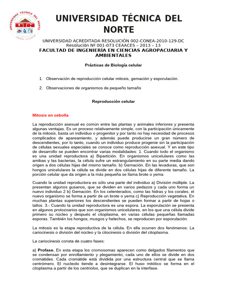 Practicas Reproducción Celular | PDF