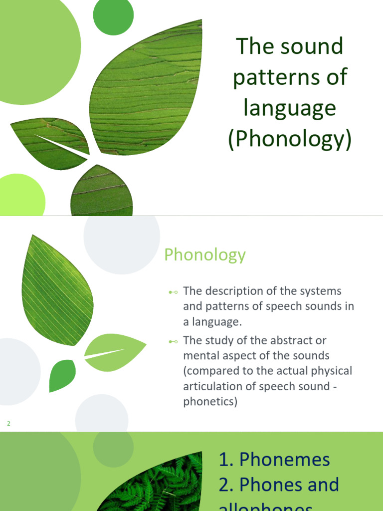 Phonology | PDF