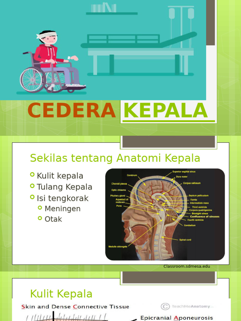 Cedera Kepala | PDF