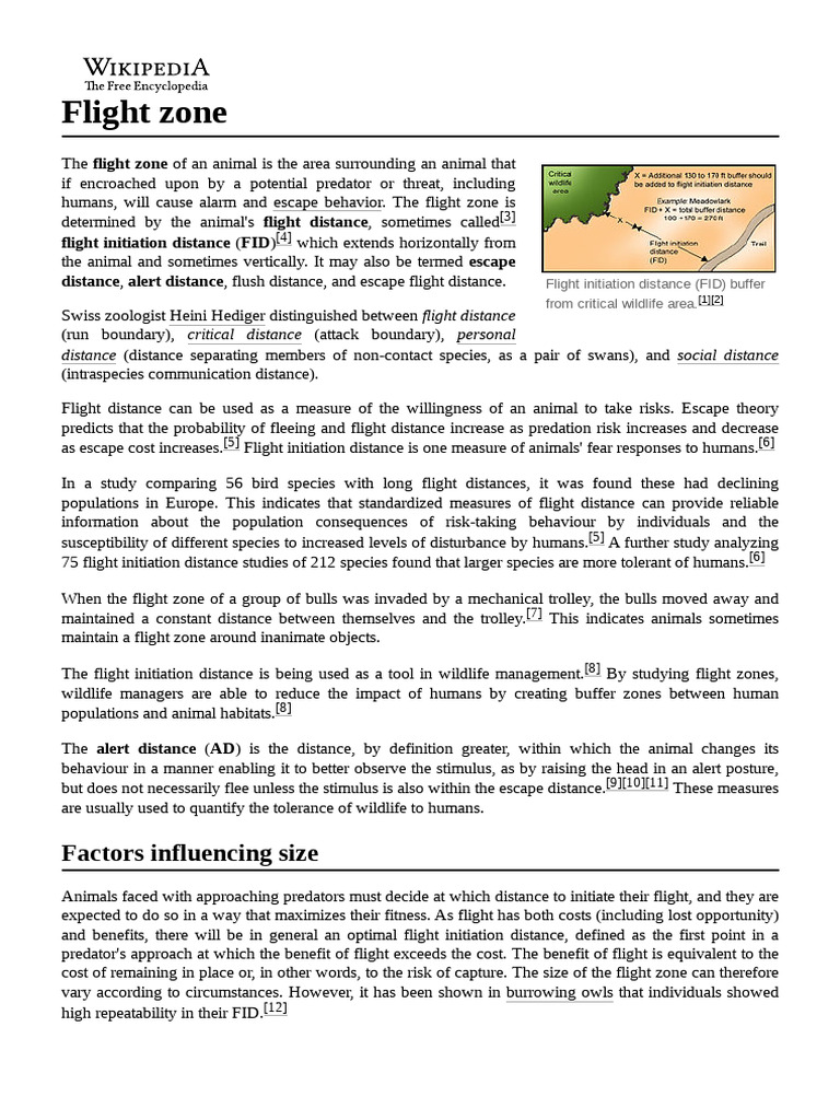Flight Zone | PDF