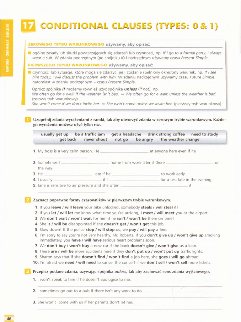 17 - Conditional Clauses Types 0 and 1 | PDF