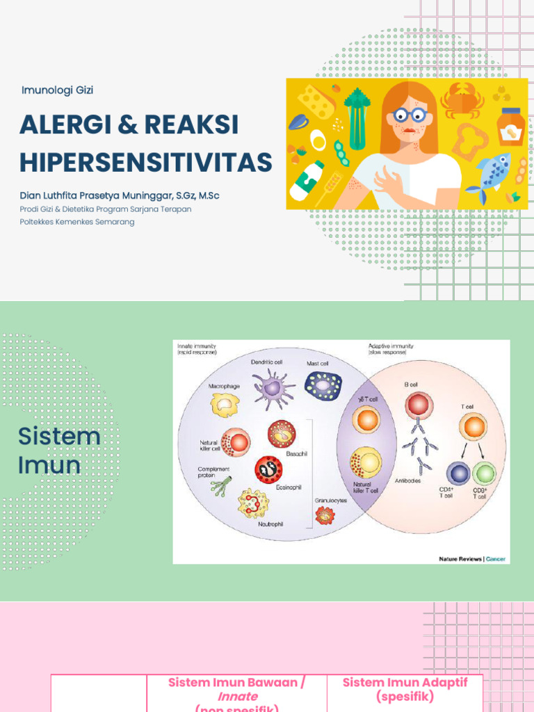 2024 - Allergy Hypersensitivity | PDF | Immune System | Allergy