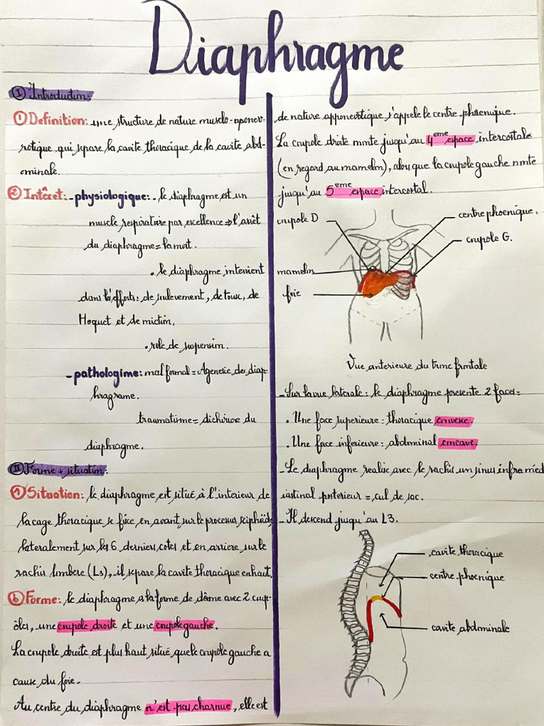 Ch.2 Le Diaphragme | PDF