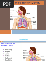 Respiratory System Mnemonics Guide | PDF