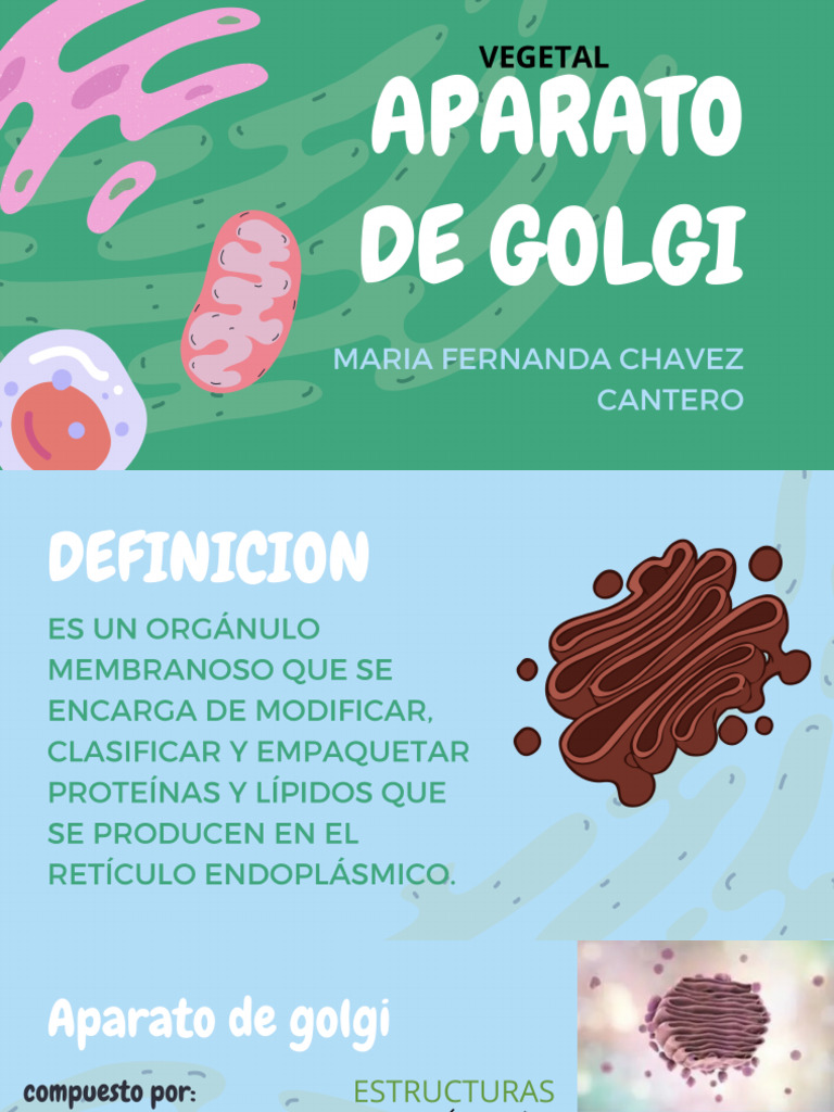 Aparato De Golgi Vegetal Pdf
