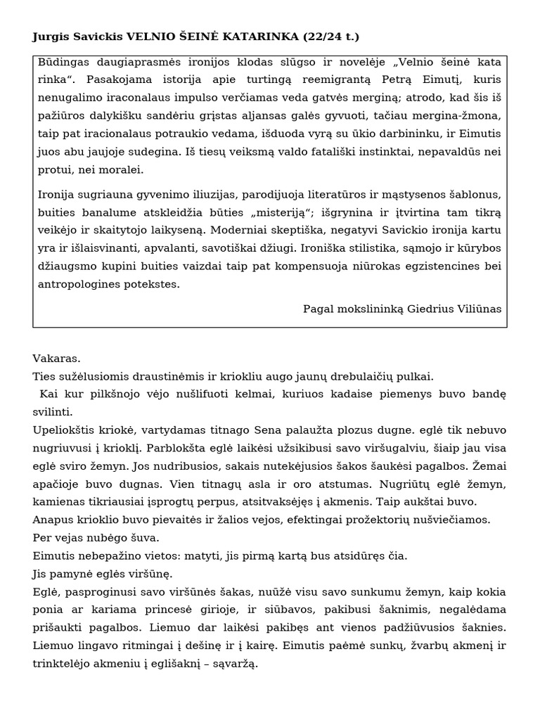 Velnio Šeinė Katarinka | PDF