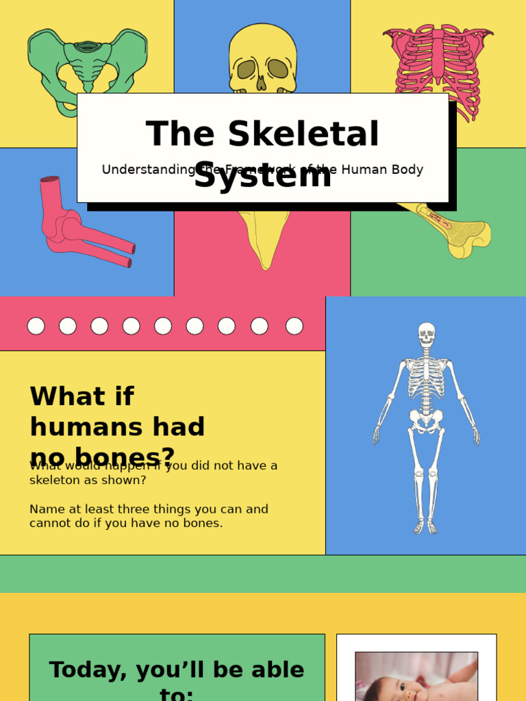 The Skeletal System Education Presentation in Green Yellow Simple ...