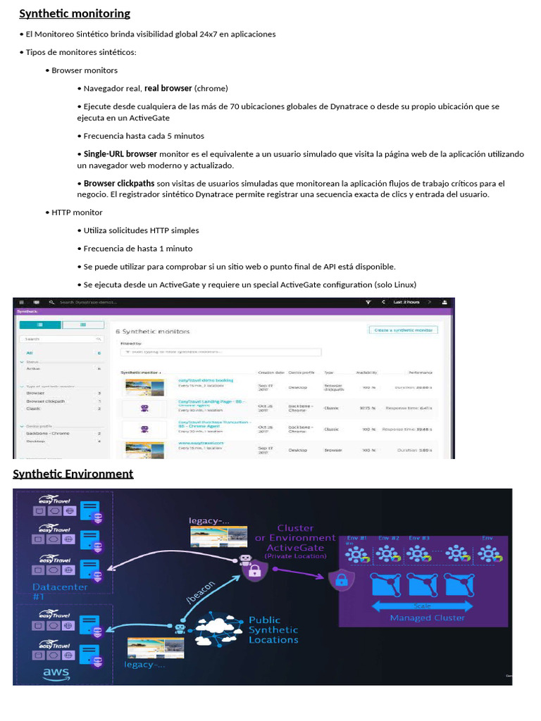 Resumen Diapositivas Dynatrace DIA 3 | PDF