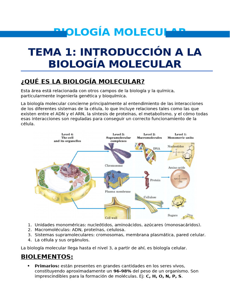 Biología Molecular | PDF