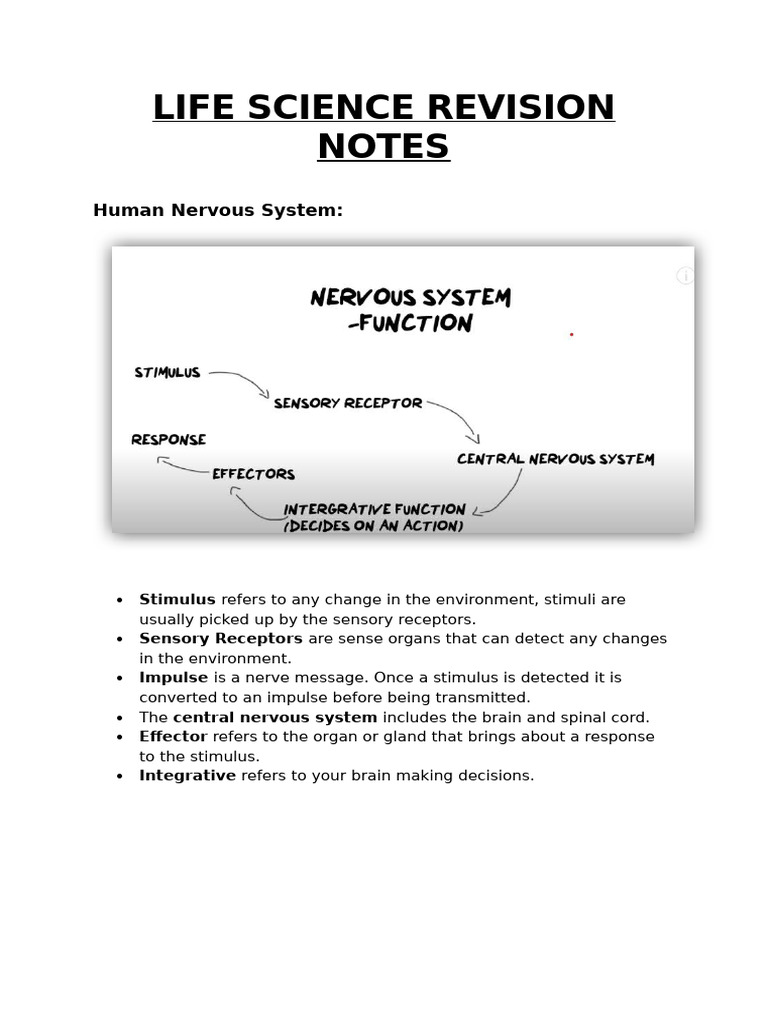 Life Science Revision Notes | PDF | Nervous System | Self-Improvement