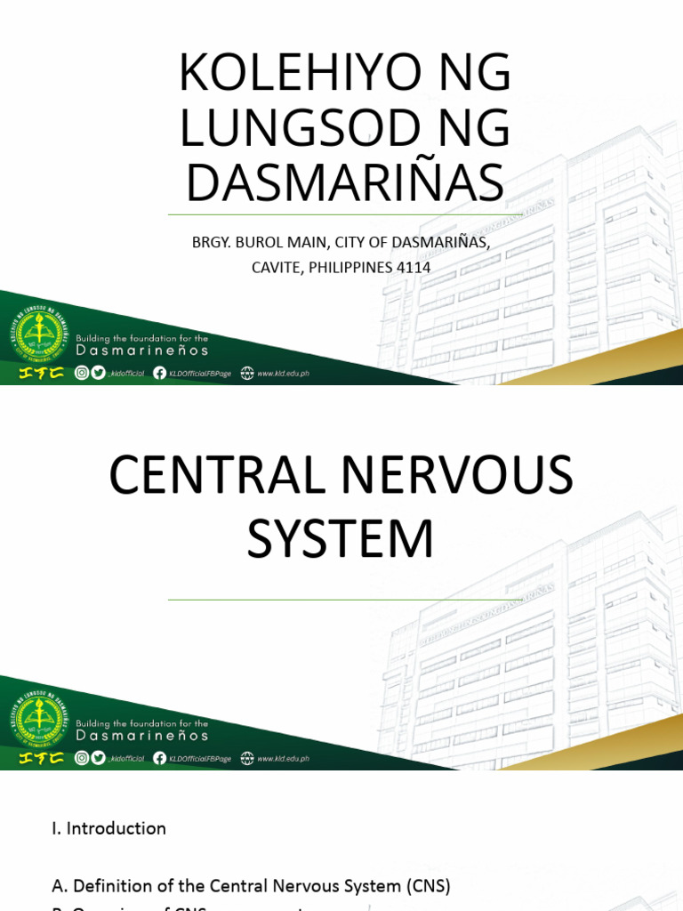 CNS PPT.pptx | PDF