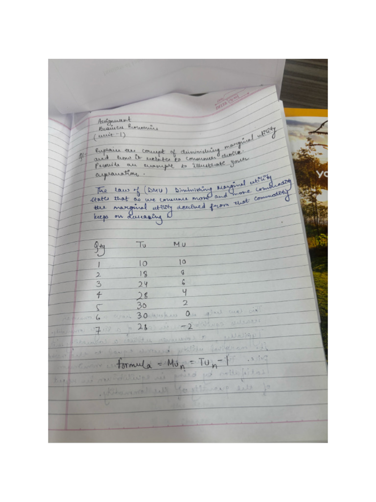 Business Eco Assignment | PDF