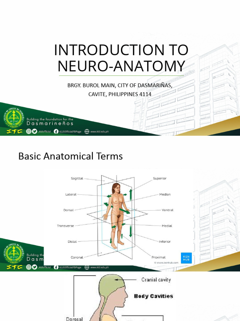 Neuro - Intro To Neuro Anatomy | PDF