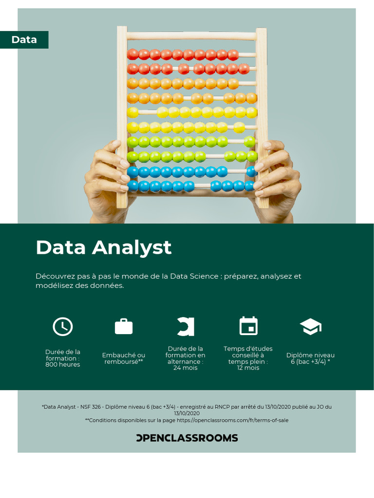 324 Data Analyst FR FR Standard | PDF
