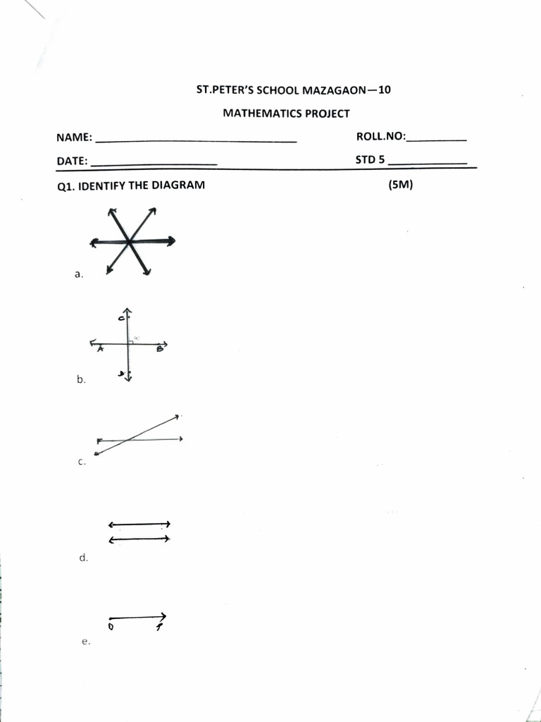 Maths project class 5 6 | PDF