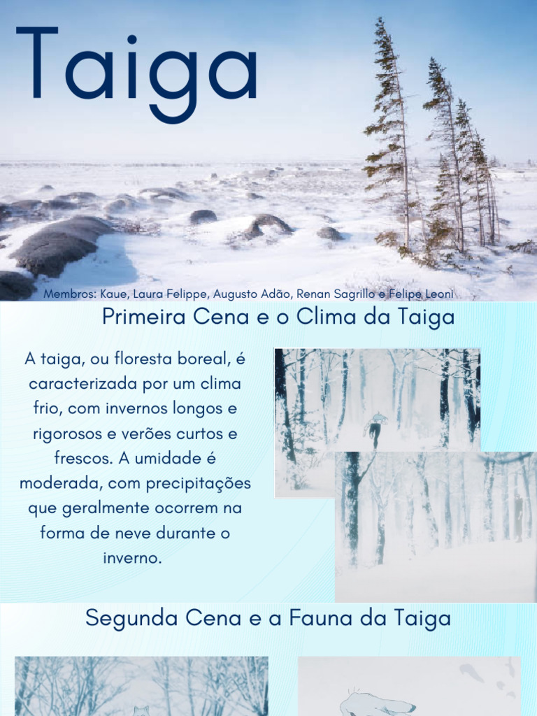 Taiga PDF | PDF