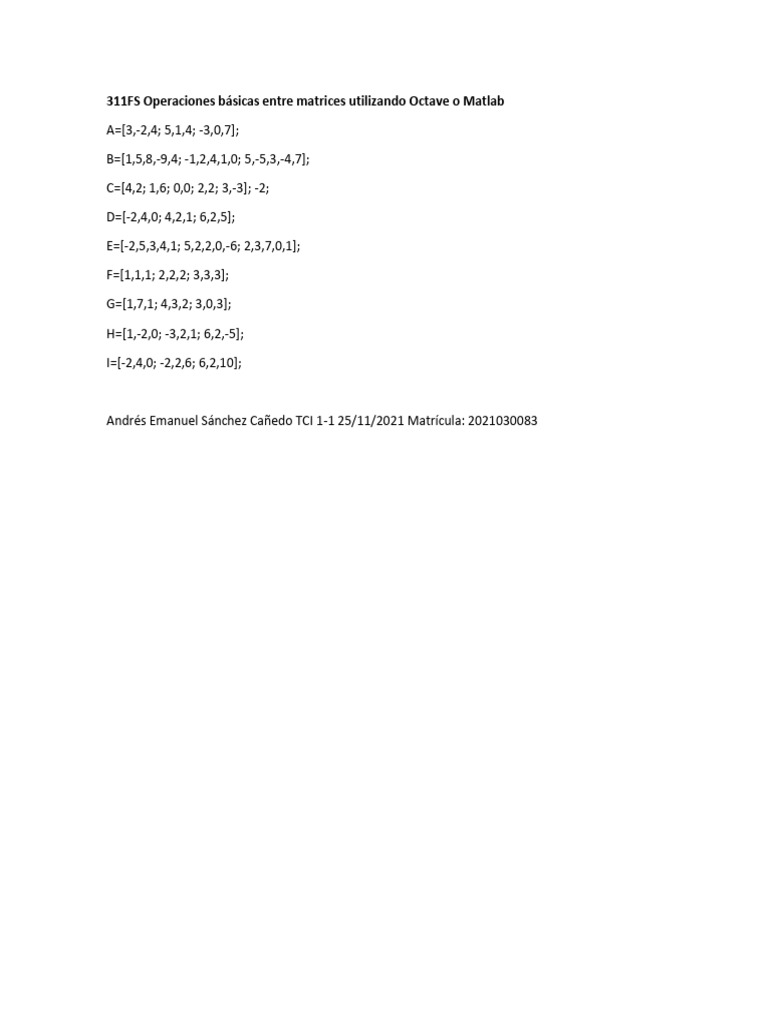 311FS Sánchez Cañedo | PDF