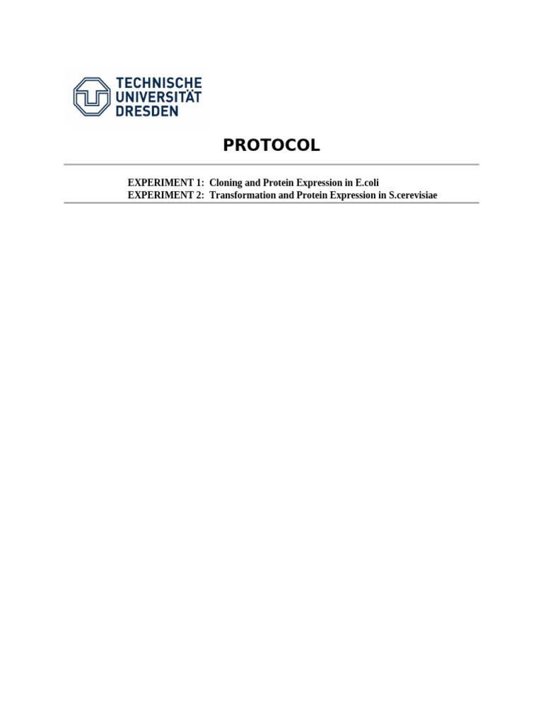 Protocol Assignment | PDF
