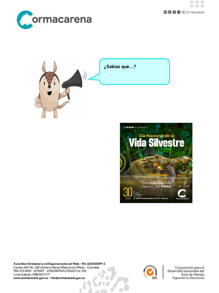 Taller Día Nacional de La Vida Silvestre 1 | PDF