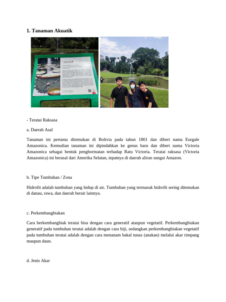 Tugas Outing 2023 | PDF