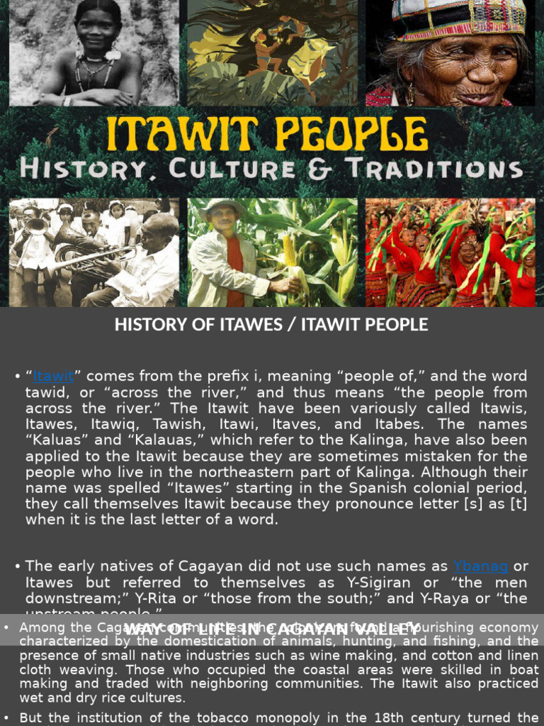 Taurine Report 094347 | PDF