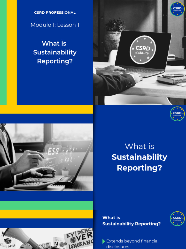 CSRD Professional - Module 1 Slides | PDF