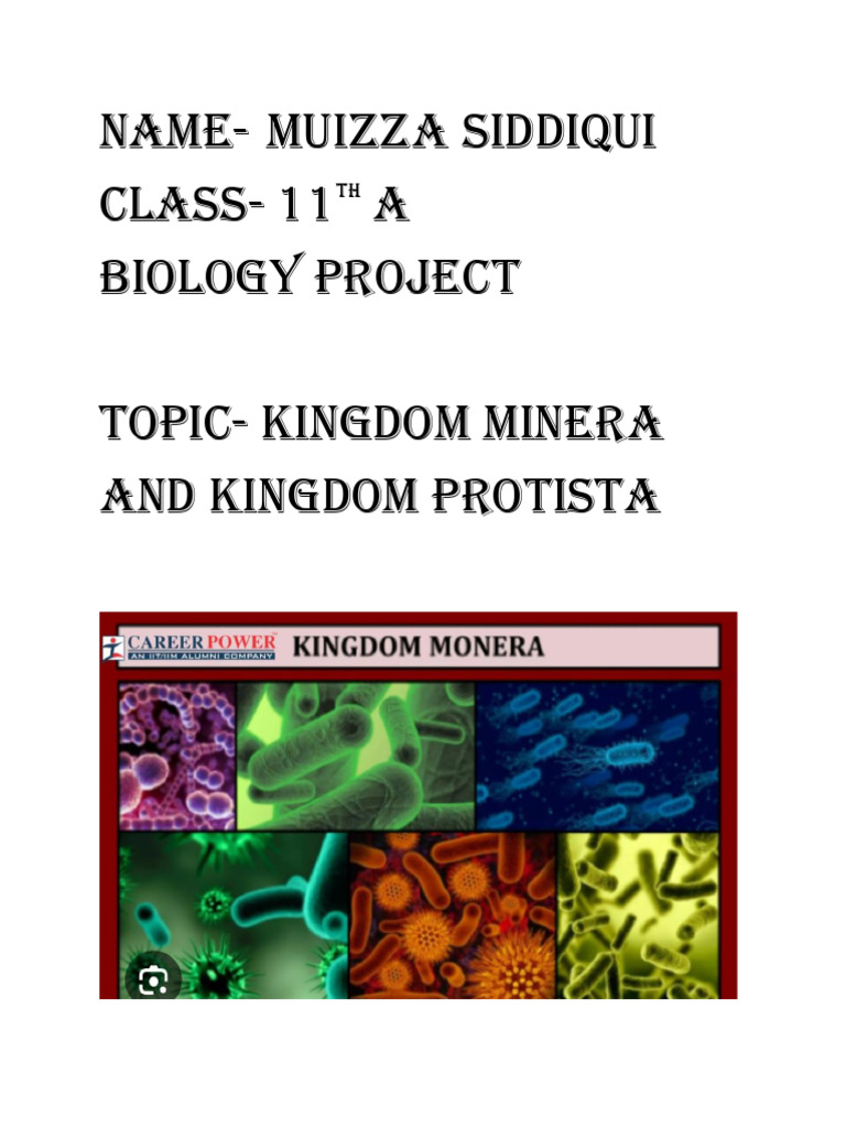 Kingdom Monera | PDF | Protozoa | Bacteria