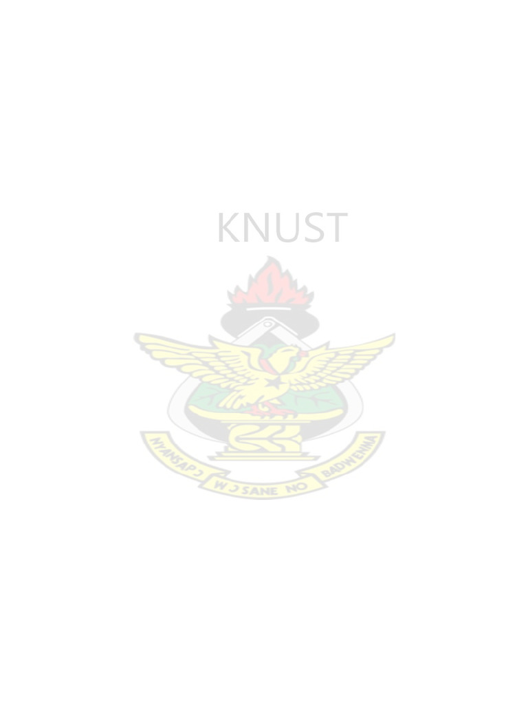 Attipoe, Selasie Kofi | PDF