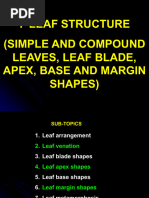 Leaf Attachment and Arrangement Guide | PDF | Leaf | Botany